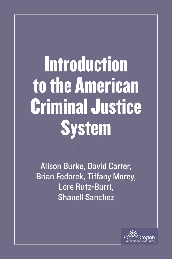 Introduction to the American Criminal Justice System.pdf - Free ...